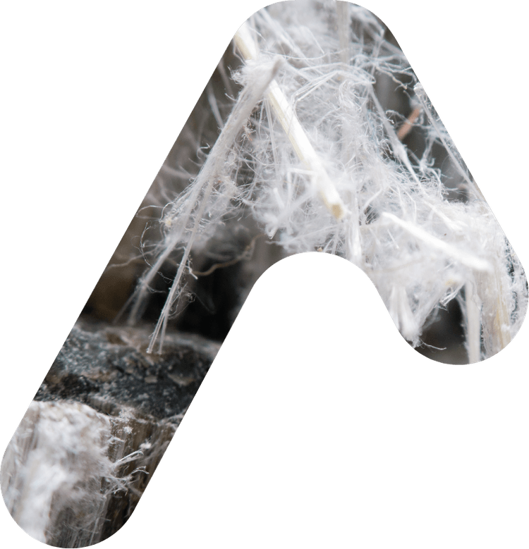 Meivcore Ambiente | Meivcore Ambiente